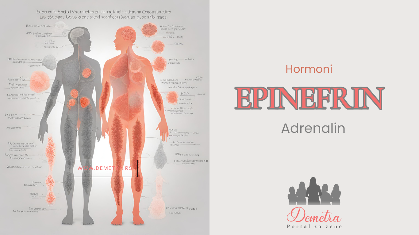 Epinefrin: Sve o hormonu epinefrin (adrenalin) - Demetra