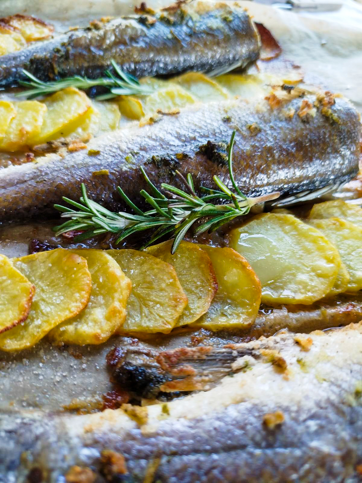 Brancin u rerni sa krompirom - Demetra